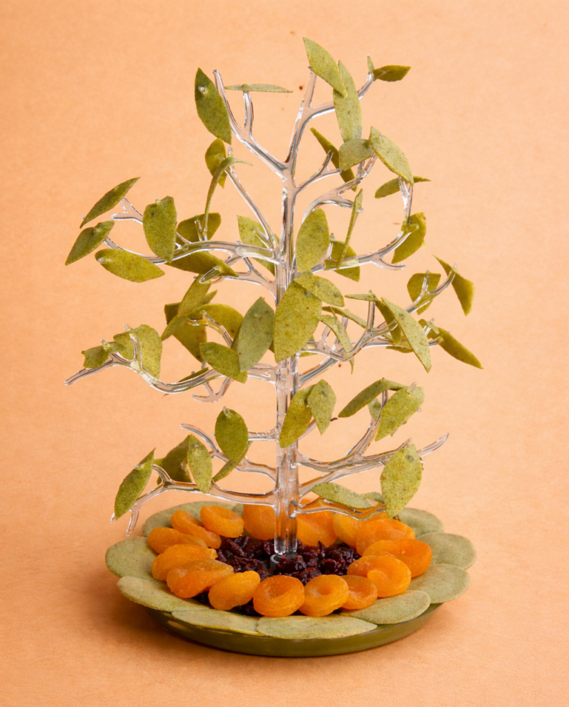 Tu B’shvat Dried Fruit Tree – Tu B'shvat Craft | EstherODesign