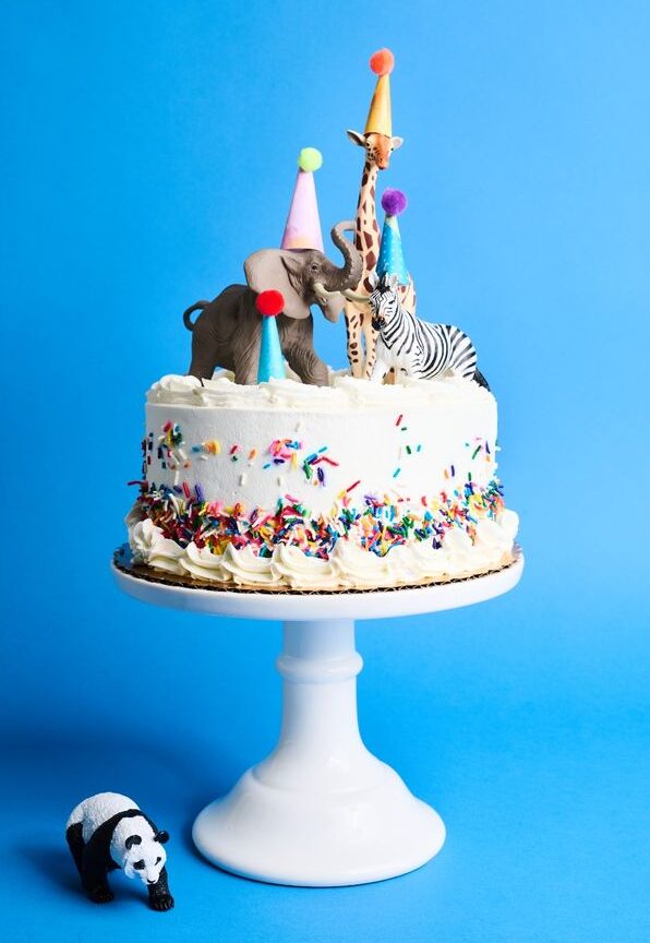 How to Make a Party Animals Cake: DIY |EstherO Design
